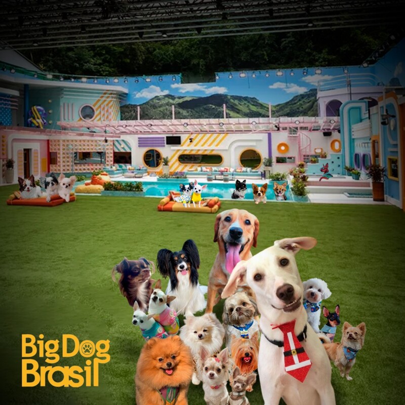 Big Dog Brasil: conheça o reality de cachorros que parodia o BBB! | O ...