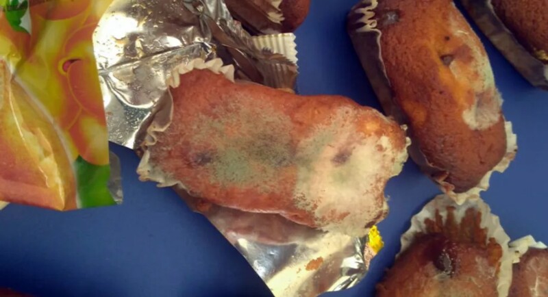 Alunos da Faetec receberam bolo mofado e leite estragado como merenda ...