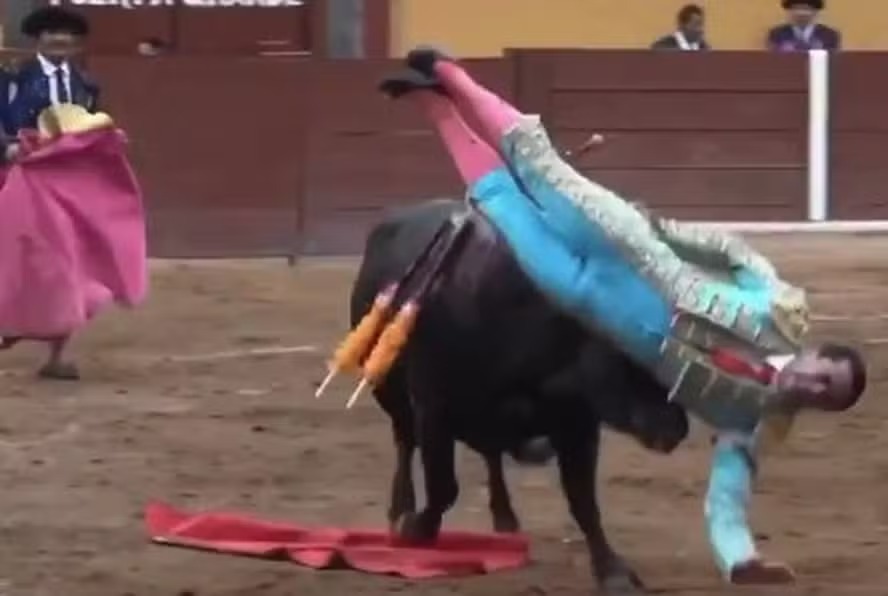 Toureiro passa por cirurgia de nove horas após grave chifrada em ...