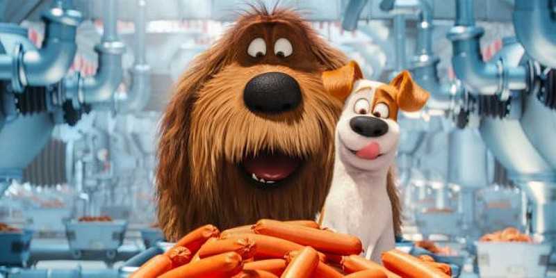 'Pets - A Vida Secreta dos Bichos': um filme bom pra cachorro! | O São ...
